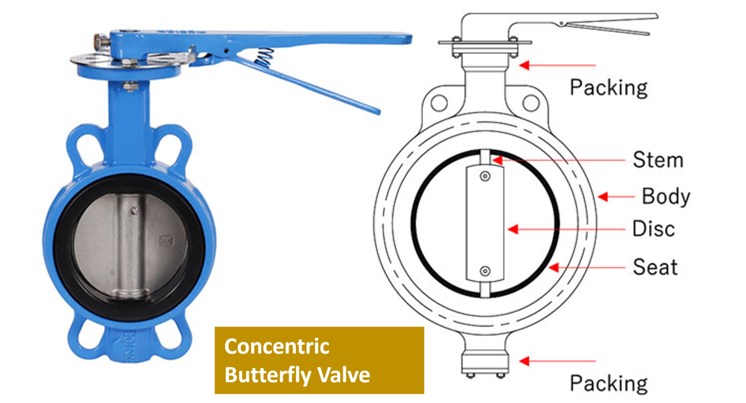 Concentric Butterfly Valves: A Comprehensive Guide || 5 FAQs & Quiz ...