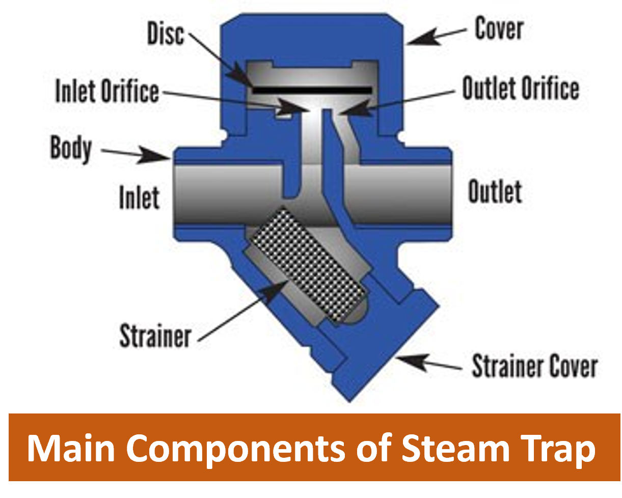 Steam Trap: A Comprehensive Guide || 5 FAQs & Quiz - Blog EPCland